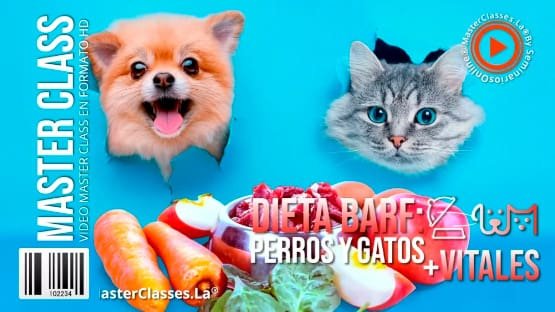 Edúcate – Mascooriente | El Mejor Criadero del País
